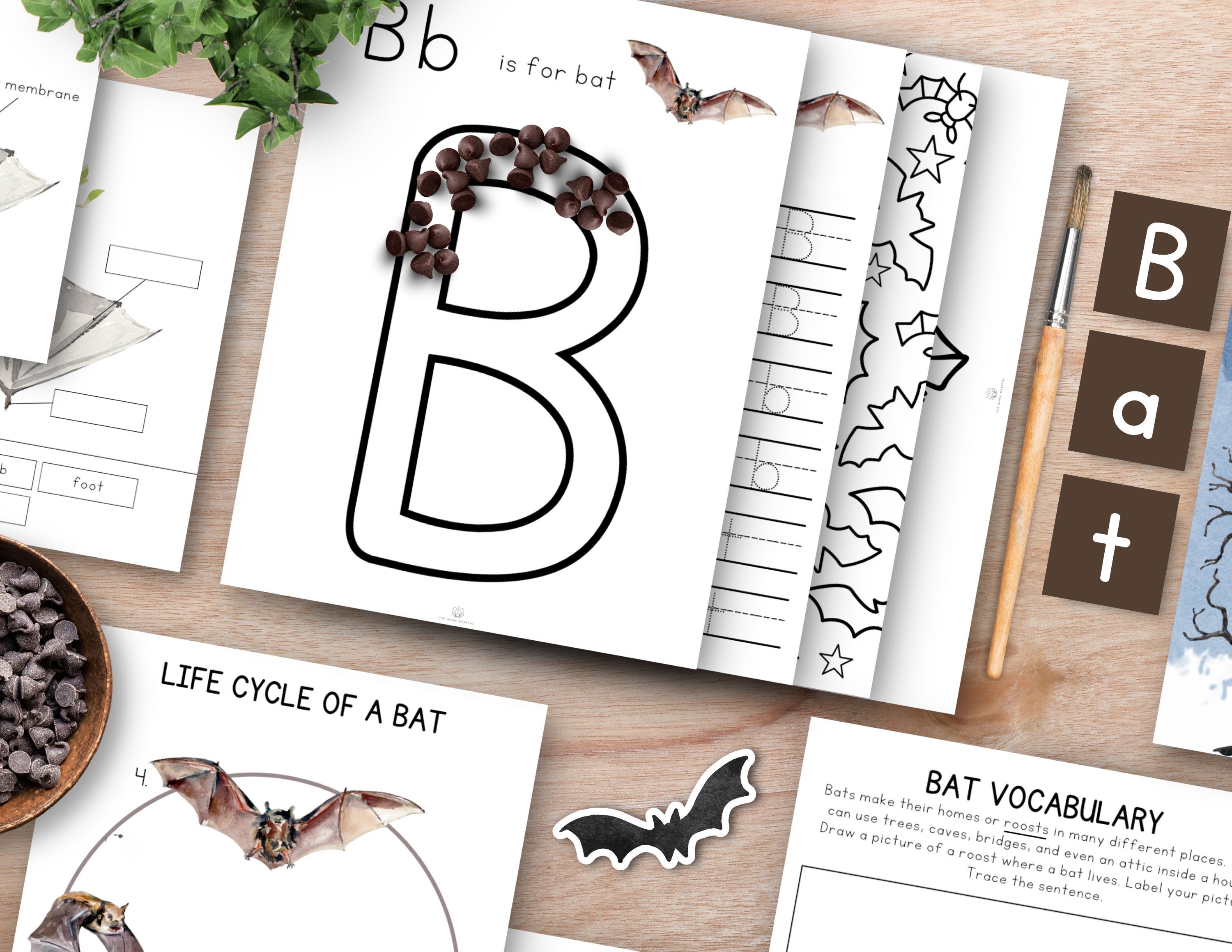 Bat Unit Study Bundle Bat Study Bat Life Cycle Fall - Etsy