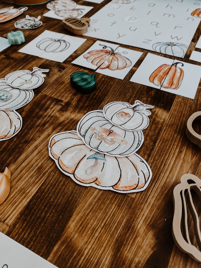 Pumpkin Activity Unit, Pumpkin Montessori Unit, Nature Flashcards ...