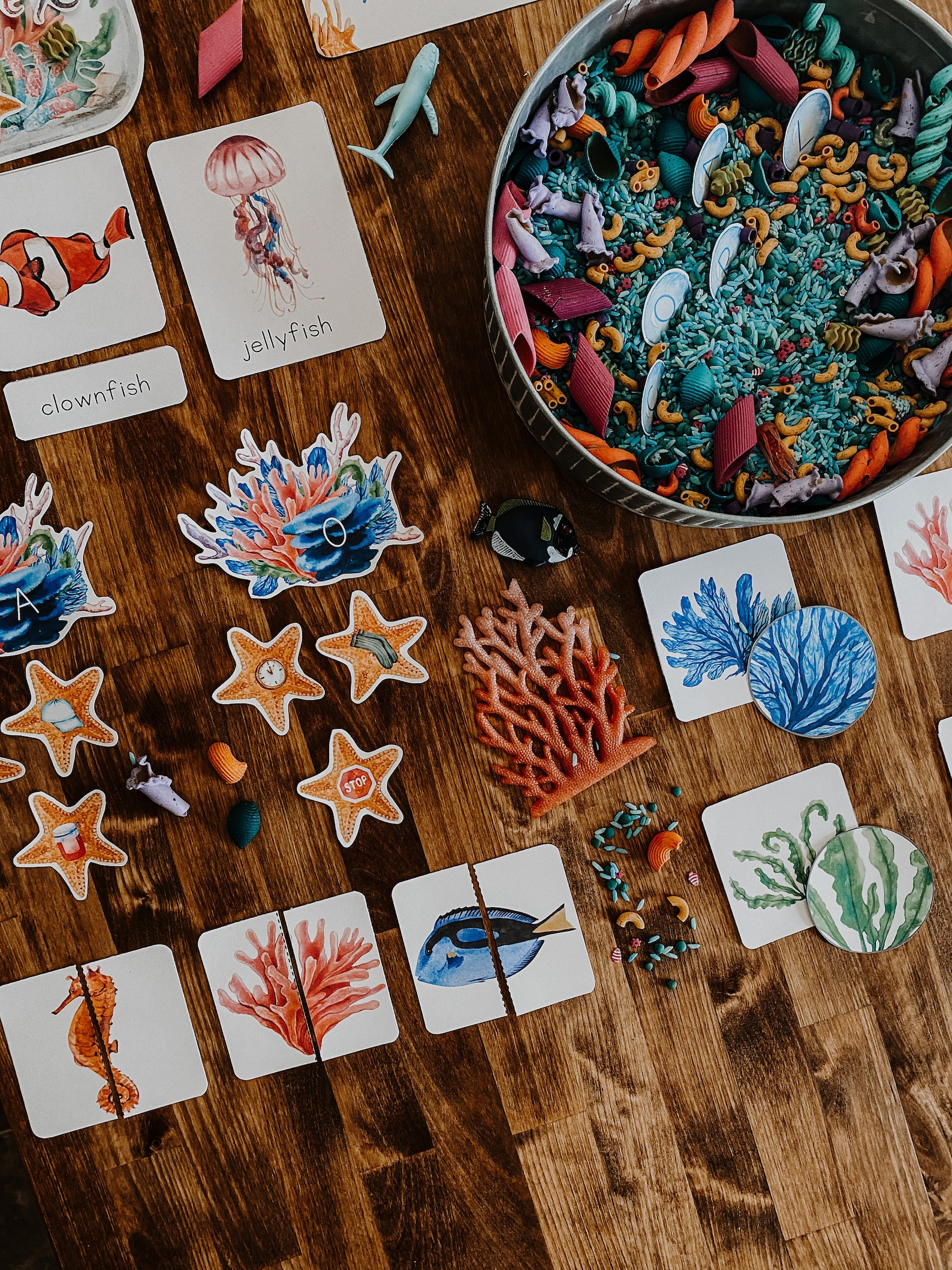 Coral Reef Activity Unit, Ocean Study Unit, 3 Part Flashcards ...