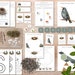 Bird Unit Study Bundle, Bird Study, Fall Montessori Unit, Nature ...