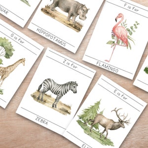 ABC Animal Alphabet Printable Flash Cards, Classroom Art, Watercolor ...