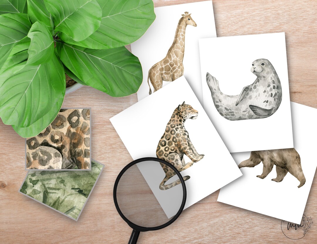 Animal Pattern Matching Cards, Montessori Animals, Nature Study Cards ...