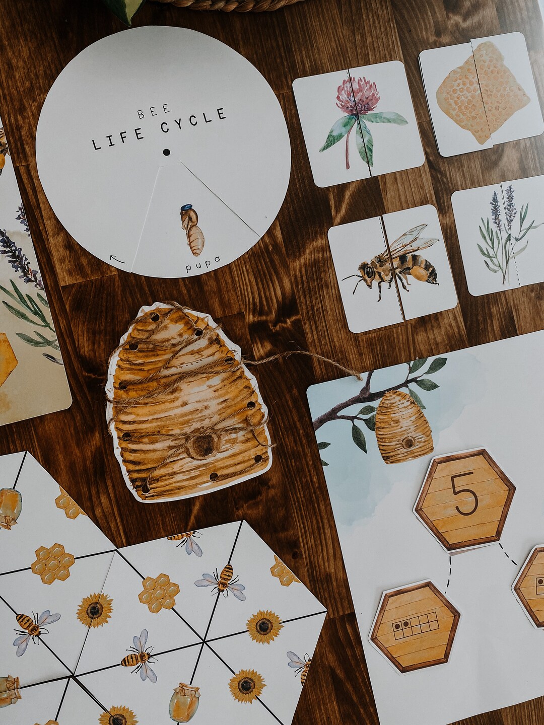 Bee Activity Unit, Bee Montessori Unit, Nature Flashcards, Homeschool ...