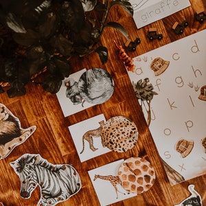 Safari Activity Unit, Safari Montessori Unit, African Animal Flashcards ...