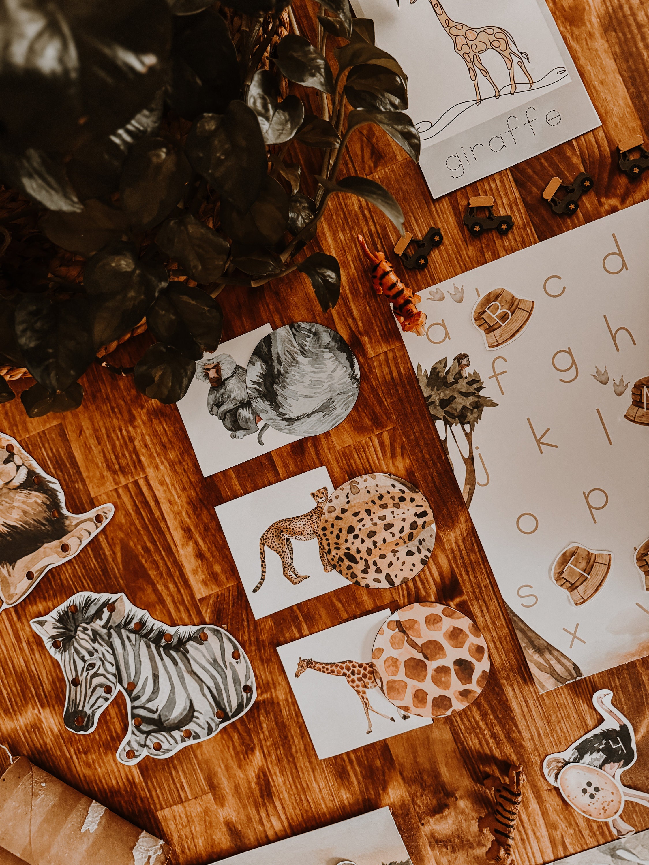 Safari Activity Unit, Safari Montessori Unit, African Animal Flashcards ...