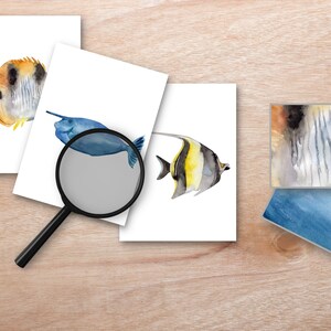 Fish Pattern Matching Cards, Ocean Study Unit, Animal Patterns ...