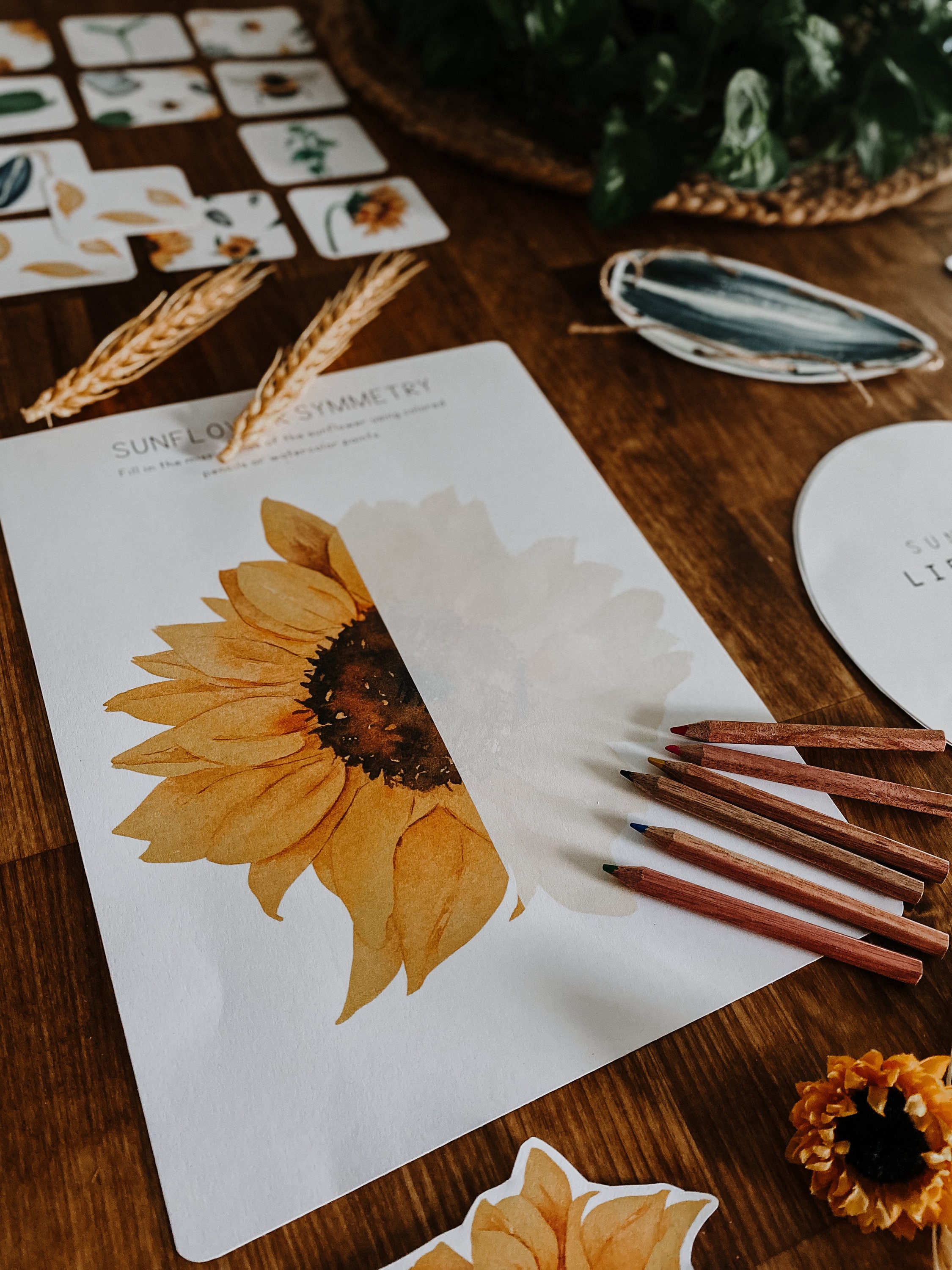Sunflower Activity Unit, Sunflower Montessori Unit, Nature Flashcards ...