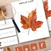 Fall Unit Study Bundle, Leaves Unit Study, Homeschool Learning ...