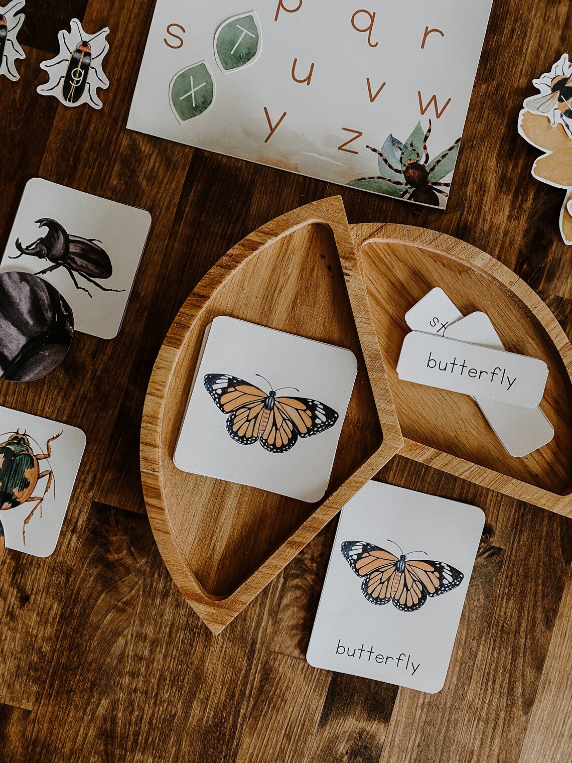 Bug Activity Unit, Insect Montessori Unit, Nature Flashcards ...