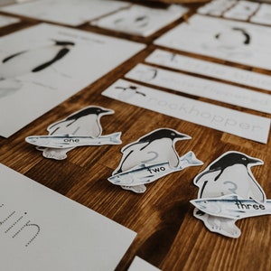 Penguin Unit Study Bundle, Penguin Study, Penguin Life Cycle, Winter ...