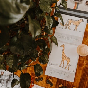 Safari Activity Unit, Safari Montessori Unit, African Animal Flashcards ...