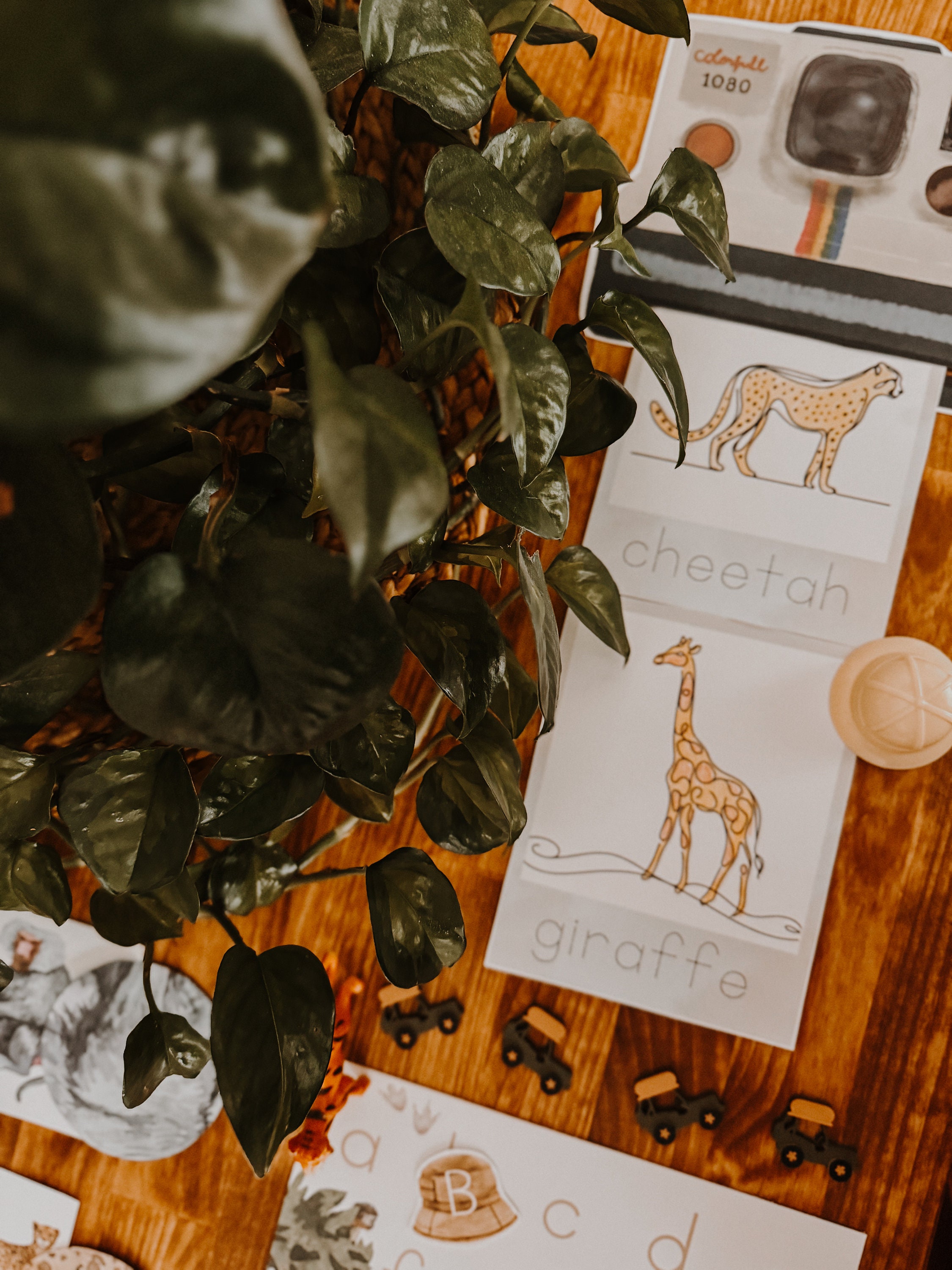Safari Activity Unit, Safari Montessori Unit, African Animal Flashcards ...