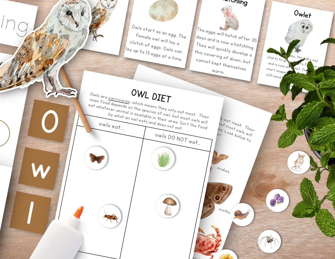 Owl Unit Study Bundle, Owl Study, Fall Montessori Unit, Nature ...