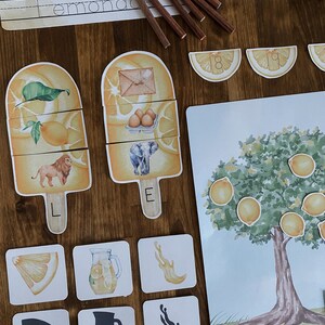 Lemonade Activity Unit, Lemonade Montessori Unit, Nature Flashcards ...