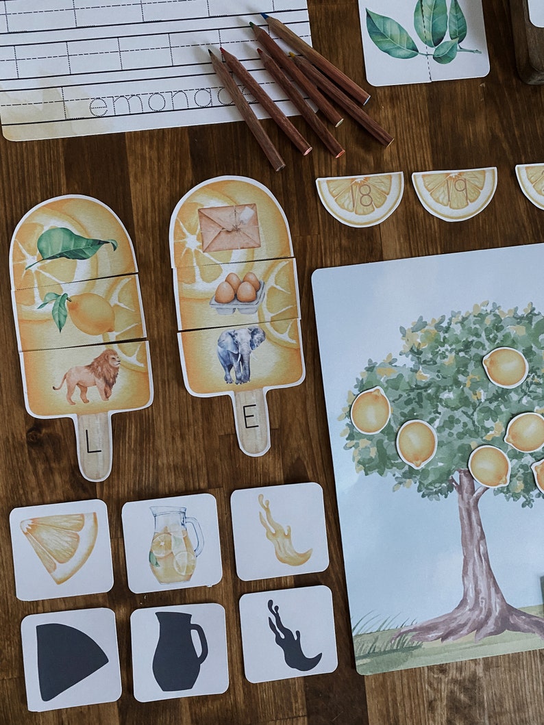 Lemonade Activity Unit, Lemonade Montessori Unit, Nature Flashcards ...