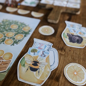 Lemonade Activity Unit, Lemonade Montessori Unit, Nature Flashcards ...