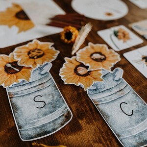 Sunflower Activity Unit, Sunflower Montessori Unit, Nature Flashcards ...