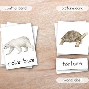 Zoo Animal 3 Part Montessori Nomenclature Cards for Kids, Zoo Wall Art ...