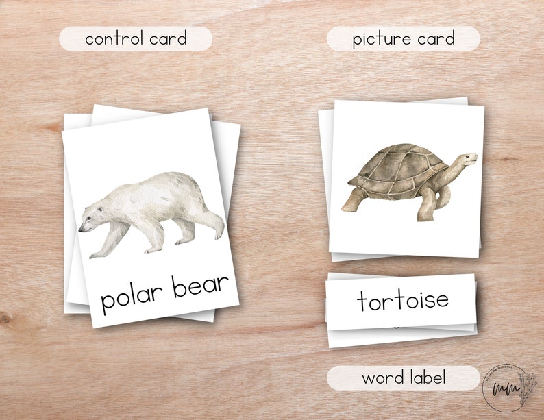 Zoo Animal 3 Part Montessori Nomenclature Cards for Kids, Zoo Wall Art ...