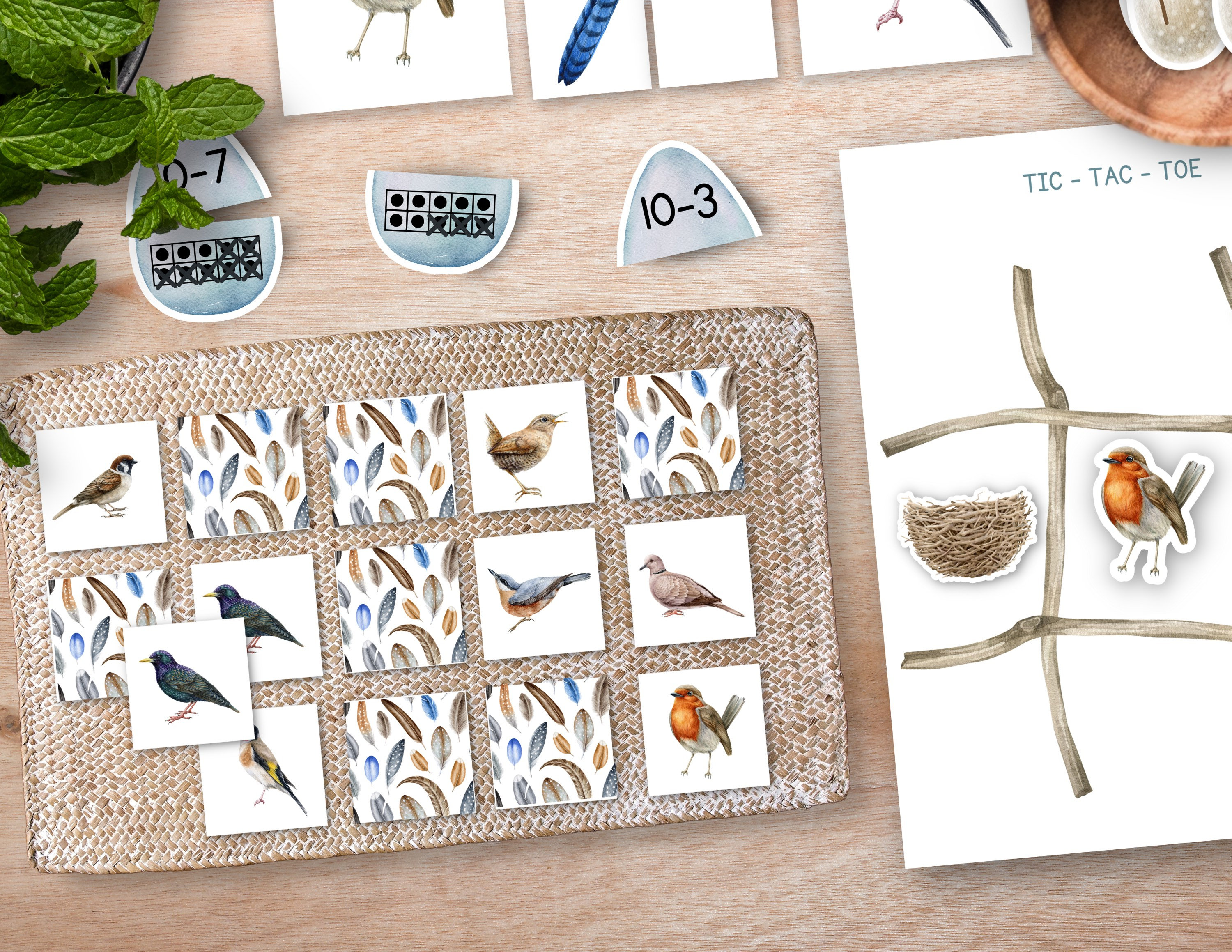 Bird Activity Unit, Backyard Birds Montessori Unit, Nature Flashcards ...