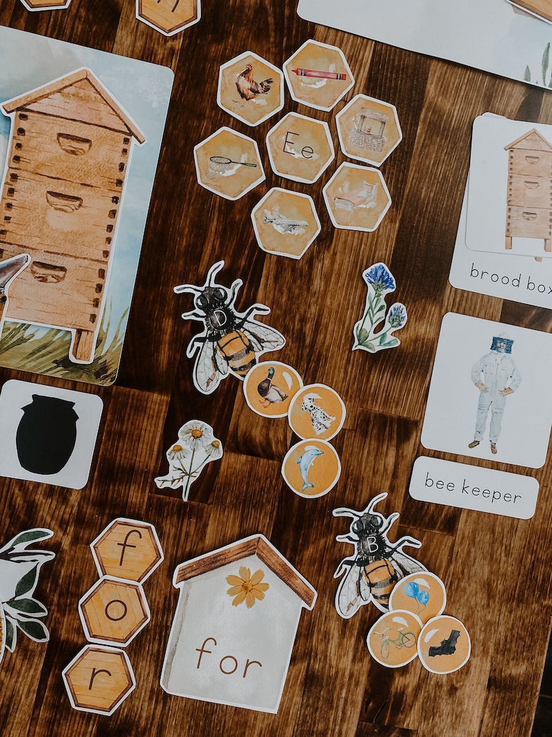 Bee Activity Unit, Bee Montessori Unit, Nature Flashcards, Homeschool ...