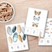 Insect Size Sorting Activity, Insect Size Match, Montessori Nature Unit ...