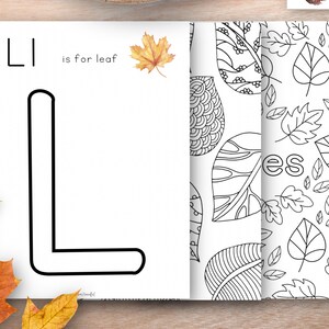 Fall Unit Study Bundle, Leaves Unit Study, Homeschool Learning ...