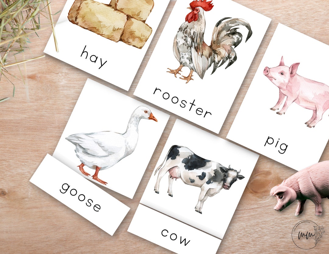 Farm Animal Flashcards Language Cards, 3 Part Montessori Nomenclature ...