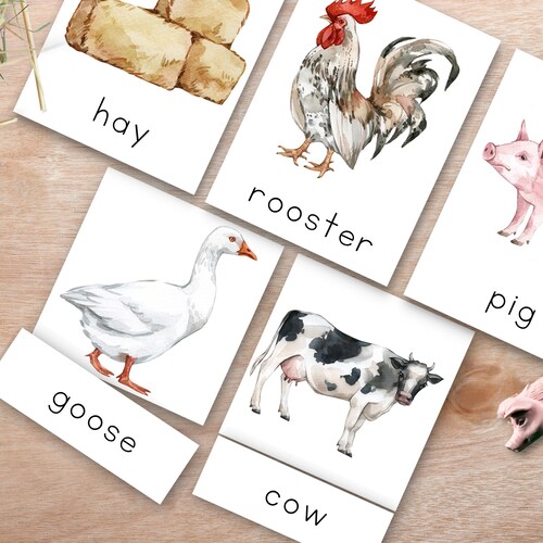 Farm Animal Flashcards Language Cards 3 Part Montessori - Etsy