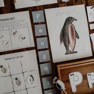 Penguin Unit Study Bundle, Penguin Study, Penguin Life Cycle, Winter ...