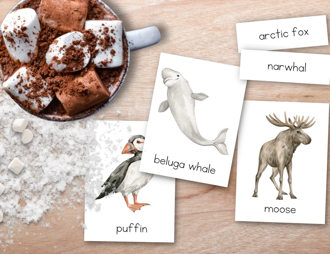 Arctic Animal 3 Part Montessori Nomenclature Cards, Animal Wall Art ...