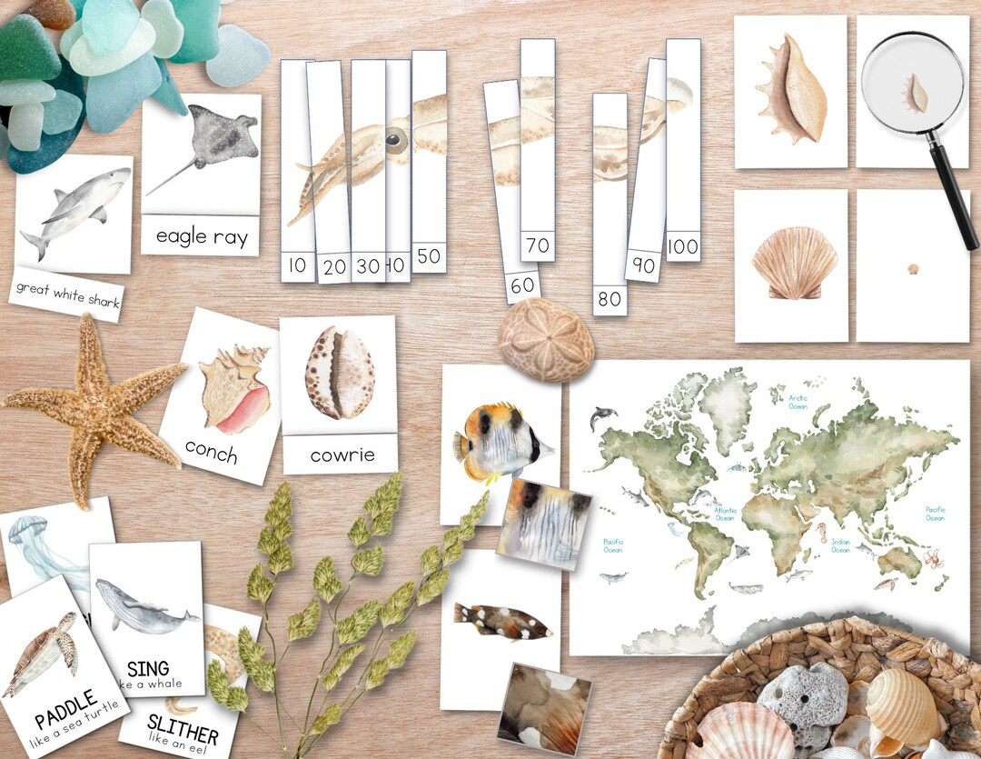 Ocean Unit Study Bundle, Montessori Summer, 3 Part Cards, Math Number ...