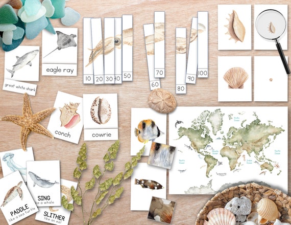 Ocean Unit Study Bundle Montessori Summer 3 Part Cards Math - Etsy