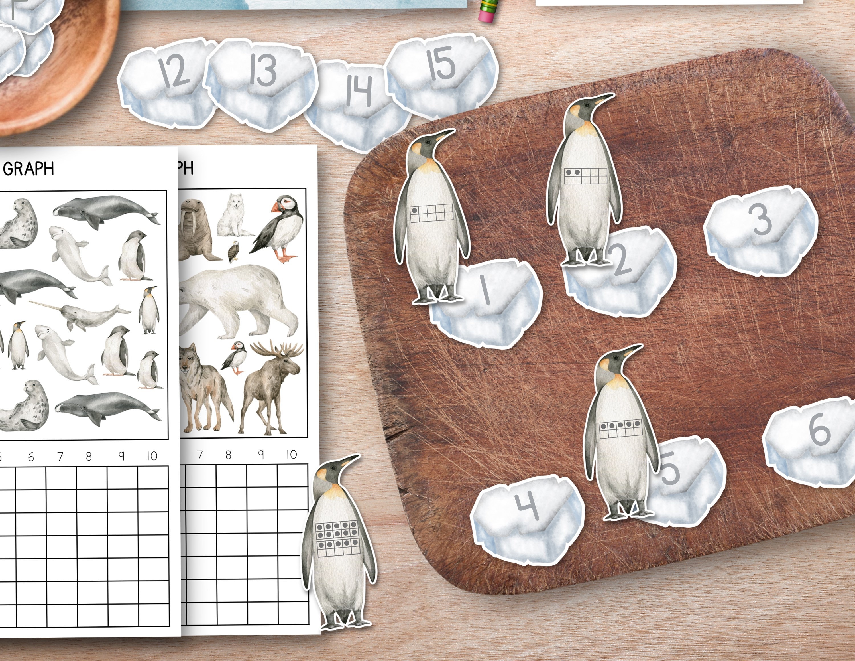 Arctic Animal Activity Unit, Winter Montessori Unit, Nature Flashcards ...