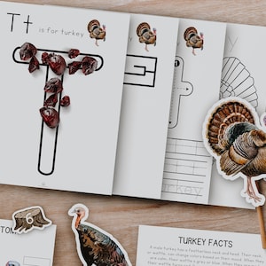 Turkey Unit Study Bundle, Thanksgiving Study, Fall Montessori Unit ...