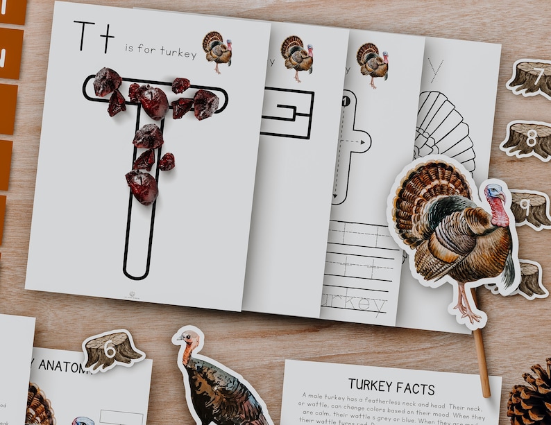 Turkey Unit Study Bundle Thanksgiving Study Fall Montessori - Etsy