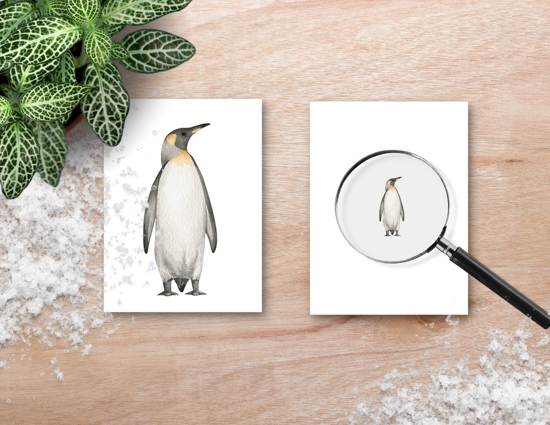 Arctic Animal Magnifying Match Activity, Montessori Winter Activity ...