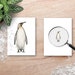 Arctic Animal Magnifying Match Activity, Montessori Winter Activity ...