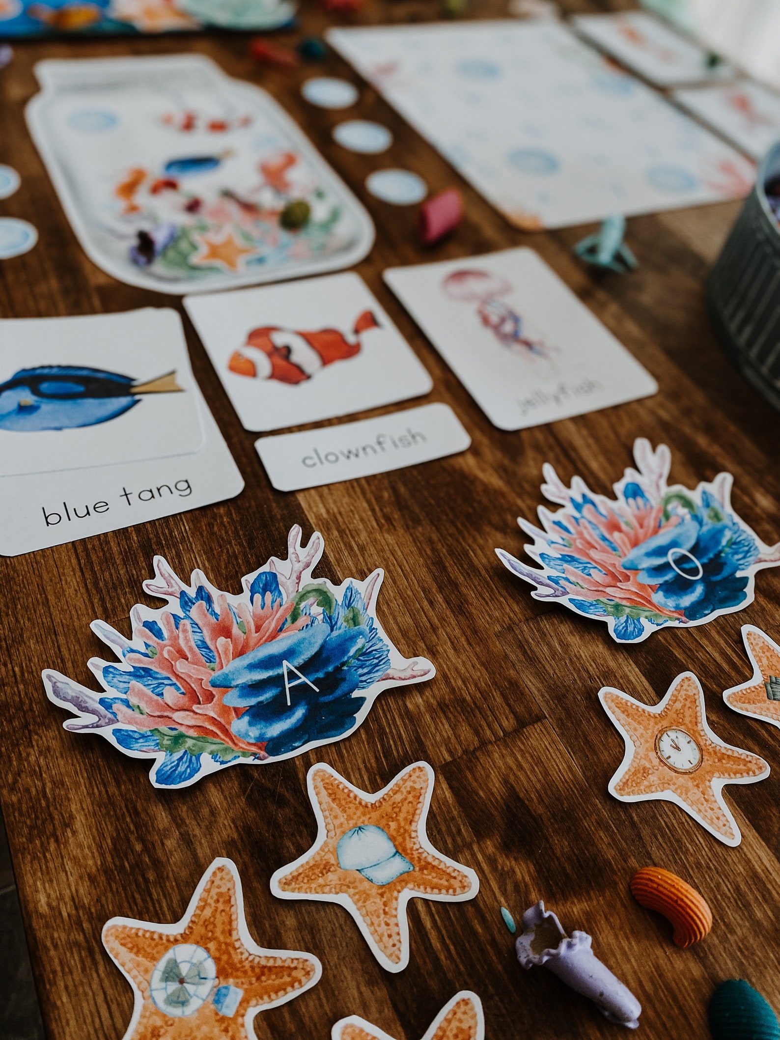 Coral Reef Activity Unit, Ocean Study Unit, 3 Part Flashcards ...