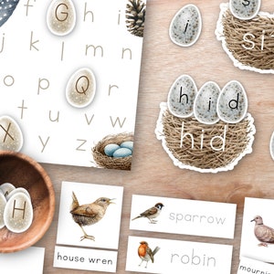 Bird Activity Unit, Backyard Birds Montessori Unit, Nature Flashcards ...