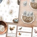 Bird Activity Unit, Backyard Birds Montessori Unit, Nature Flashcards ...