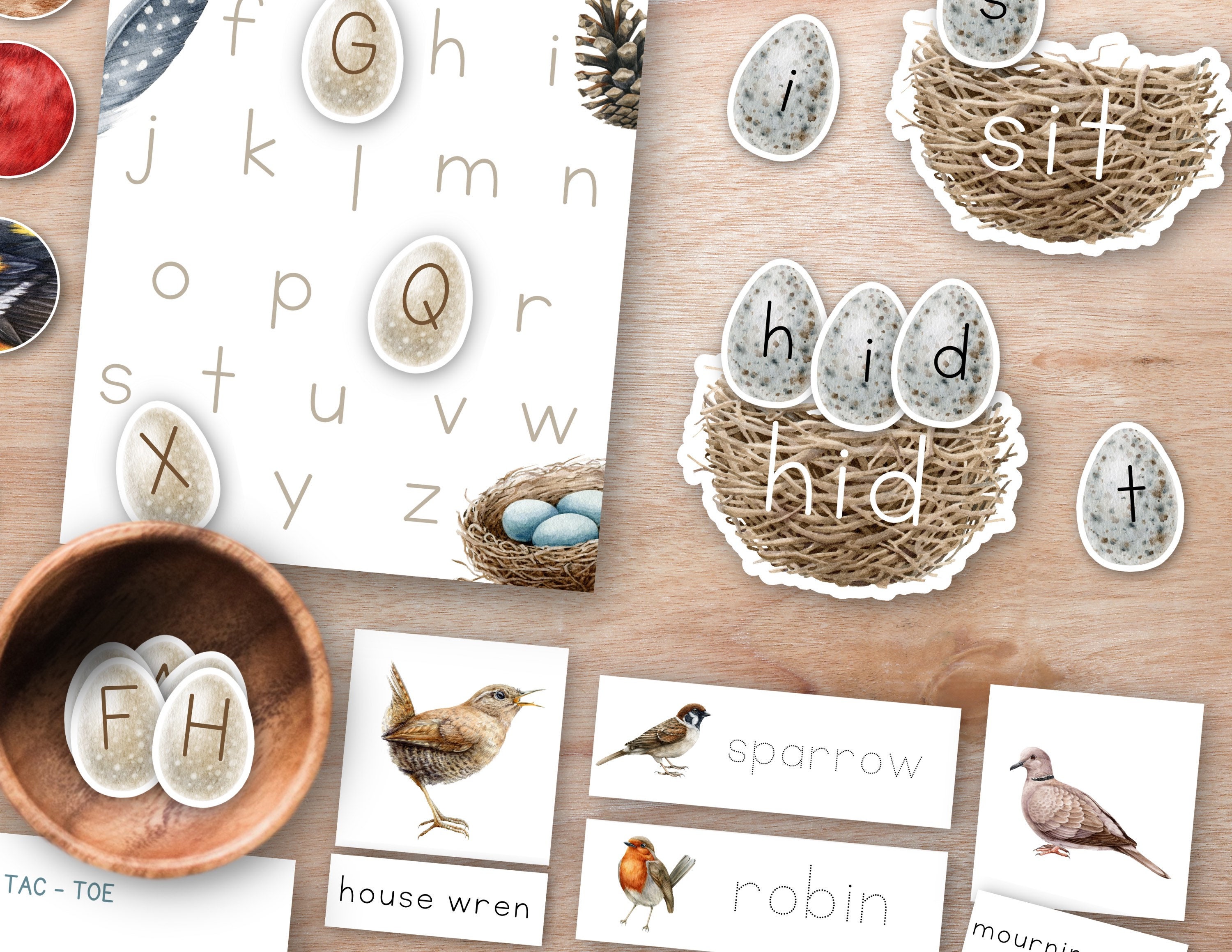 Bird Activity Unit, Backyard Birds Montessori Unit, Nature Flashcards ...