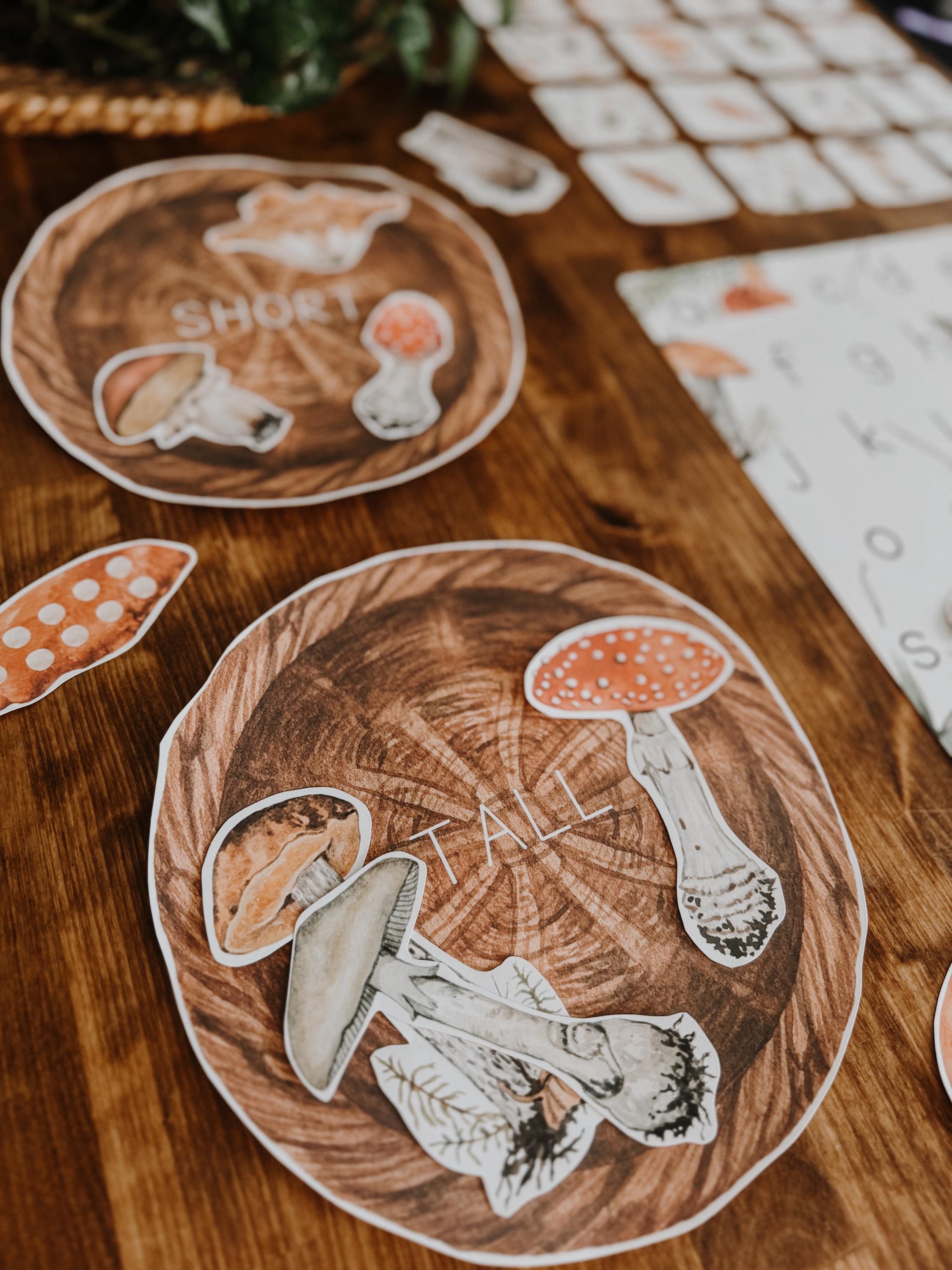 Mushroom Activity Unit, Preschool Unit, Mushroom Flashcards, Homeschool ...