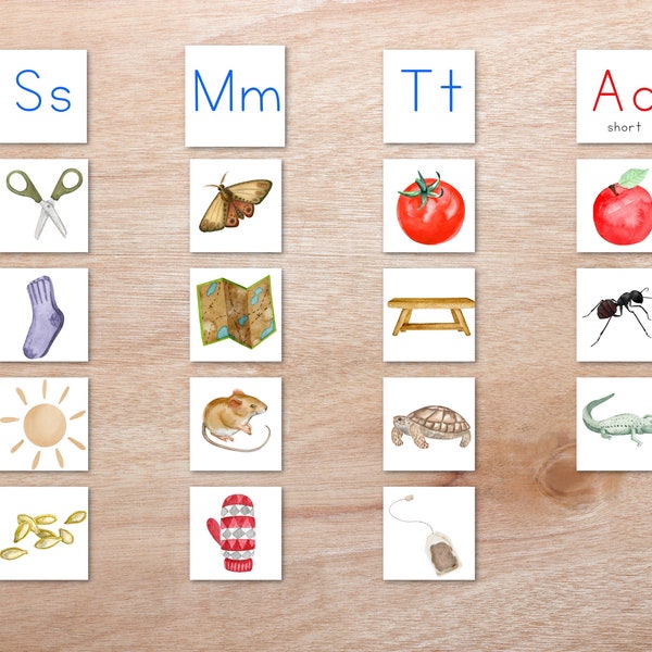 Montessori Alphabet - Etsy