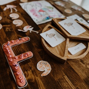 Flamingo Activity Unit, Tropical Bird Unit, 3 Part Flashcards ...