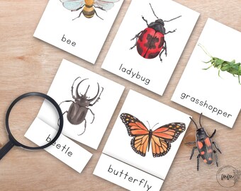 Bugs Insects Cards 28 Cards Montessori Insect 3 Part Cards ...