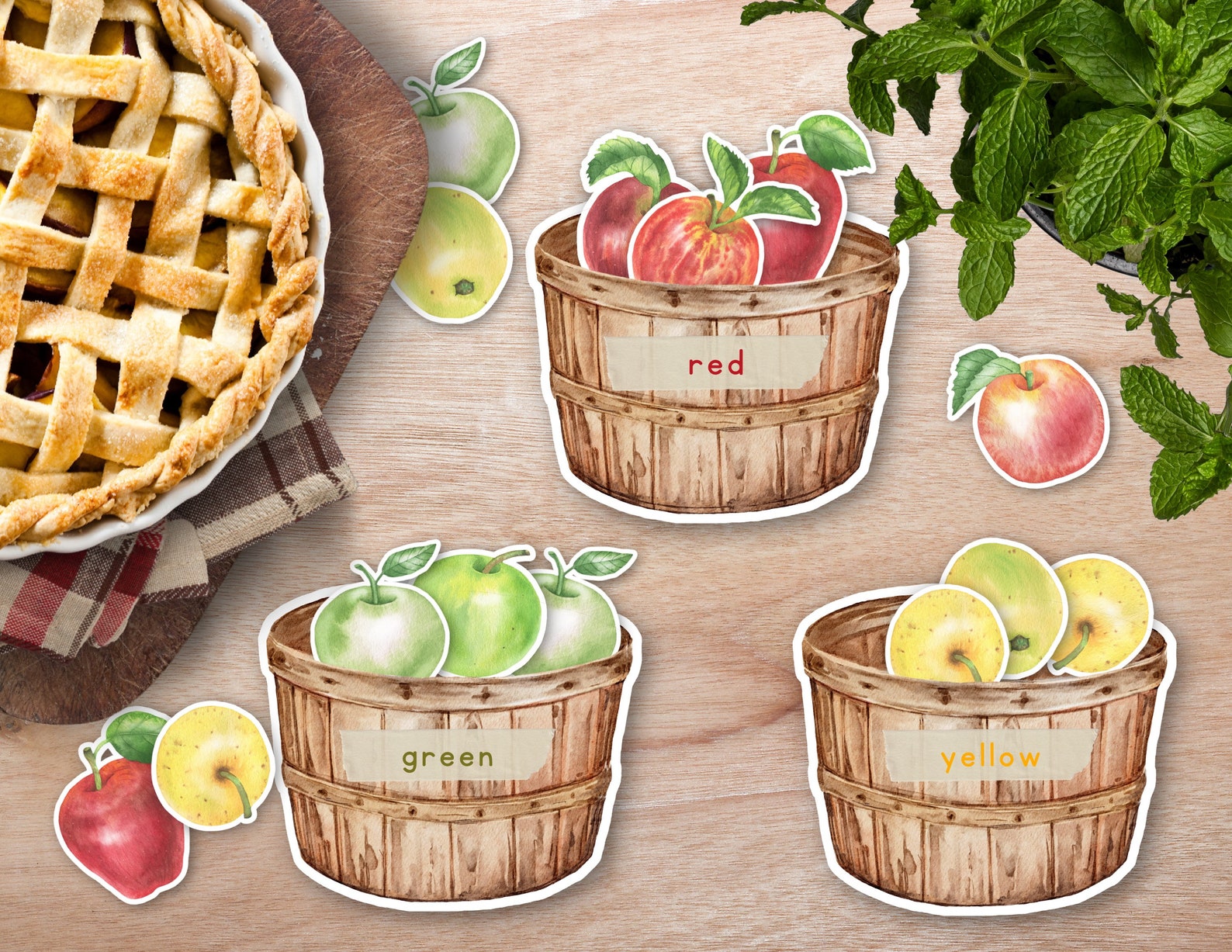 Apple Color Matching Game Toddler Montessori Activity - Etsy