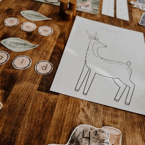 Woodland Animals Activity Unit, Forest Montessori Unit, Nature ...