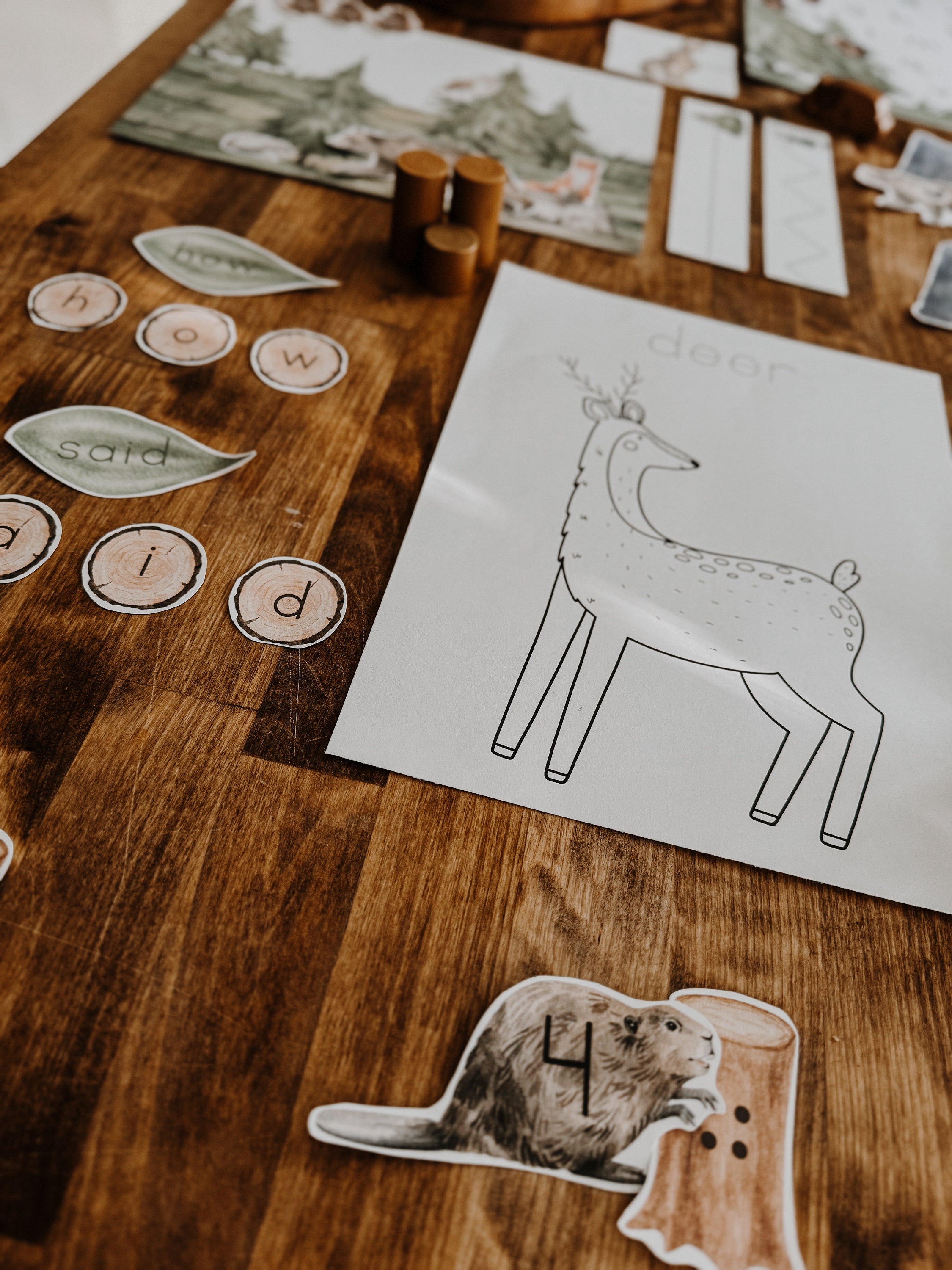 Woodland Animals Activity Unit, Forest Montessori Unit, Nature ...