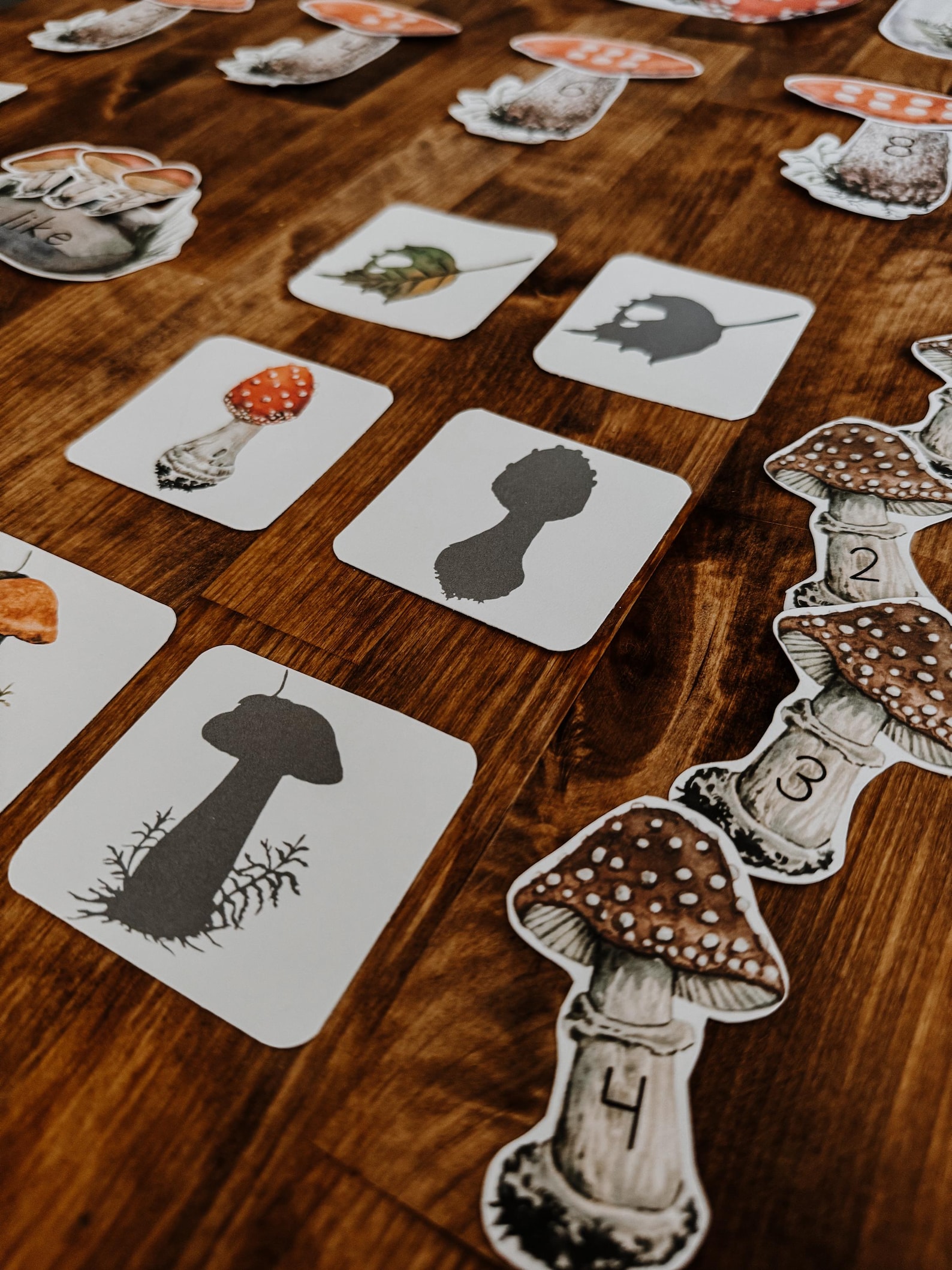 Mushroom Activity Unit, Preschool Unit, Mushroom Flashcards, Homeschool ...